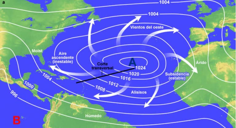 Tipos de viento | Vientos Alisios | Vientos constantes y planetarios